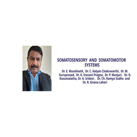 Somatosensory_Nervous system_components_functions | PPTX