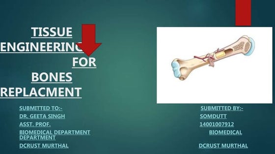 Tissue engineering of bone | PPT