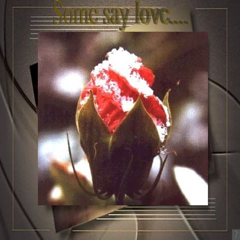 Some say love.........2 | PPS