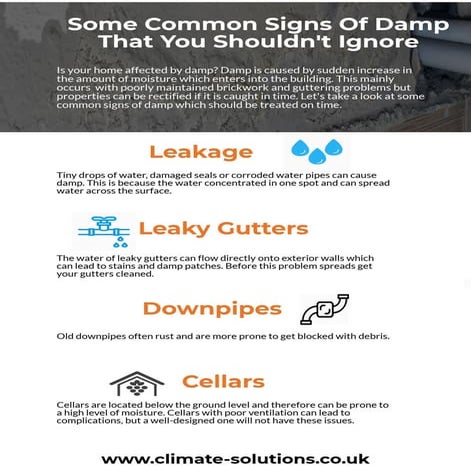 Some common signs of damp that you shouldn't ignore | PDF