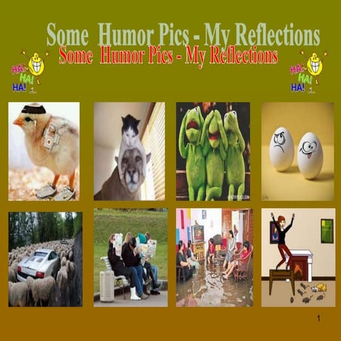 Some Humor Pics - My Reflections | PPT