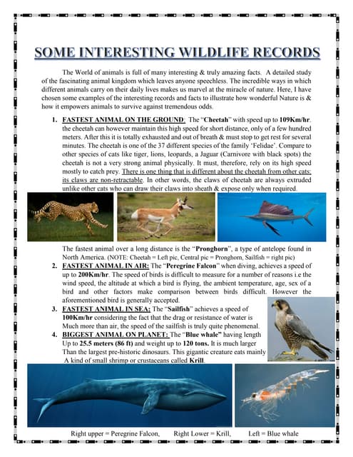 Cardiovascular system of goat | DOCX | Heart and Cardiovascular ...