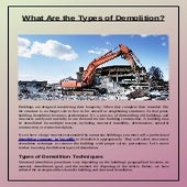 Some Kinds of Demolition | PDF