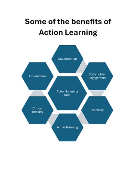 Performance Wheel for Coaching / Supervision sessions | PDF