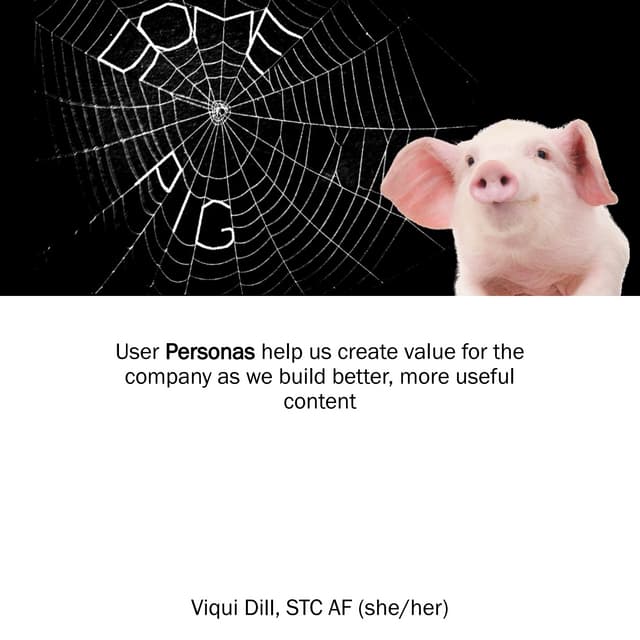 SOME PIG: Website Workshops User Personas | PPTX