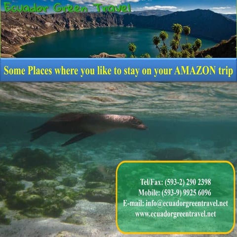 Some places where you like to stay on your amazon trip | PPT