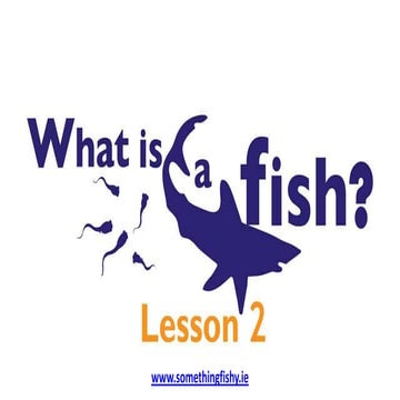 Fish: What is a Fish, Fish Characteristics and Food Chain - Something ...
