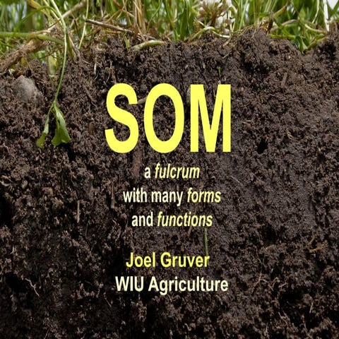 eluviation and illuviation soil (2).ppt