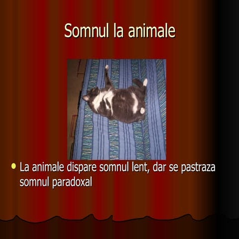 somn | PPT