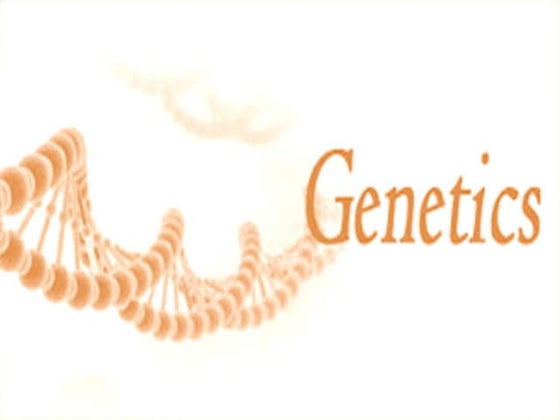 MEGA (Molecular Evolutionary Genetics Analysis) | PDF