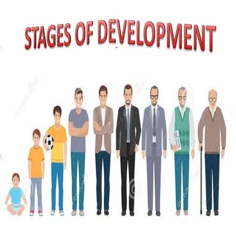 PSYCHOLOGY- Stages of development | PPTX | Infertility | Reproductive ...
