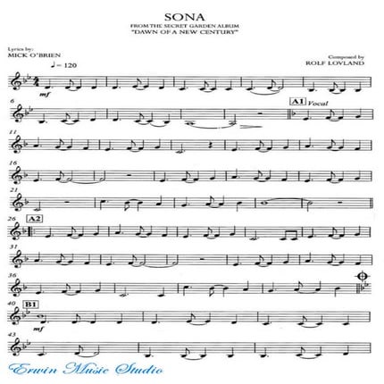 Sona violin | PDF
