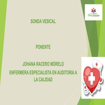 Cuidados en la instalación de sonda foley y manejo posterior | PDF