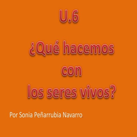 Diferencia entre angel y amigo 2 | PPS