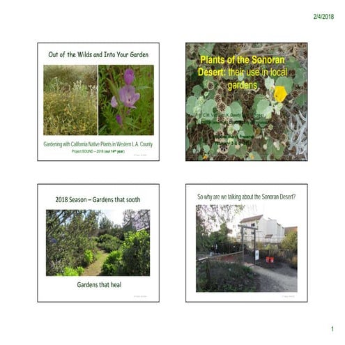 Sonoran desert 2018-notes | PDF