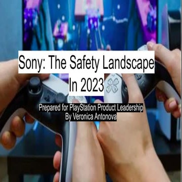 Sony: the Safety Landscape in 2023.pdf