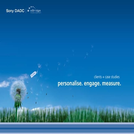 Sony eBridge: Integrated Marketing Case Studies | PDF