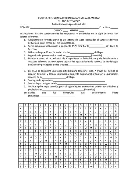 Sopa de letra y oraciones | PDF