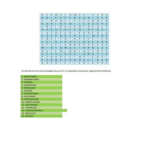 Sopa de letras | DOCX