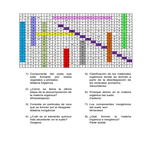 Sopa De Letras Sobre El Suelo