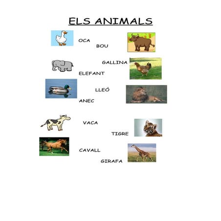 Sopa de lletres nora alba | PDF