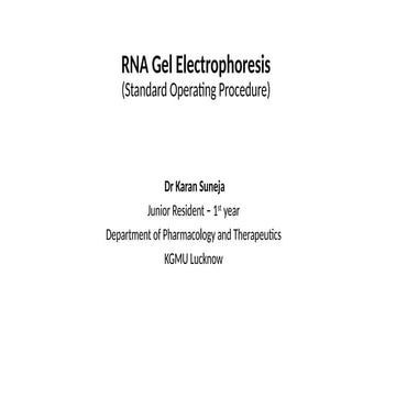 COMPLETE UPDATED RNA GEL ELECTROPHORESIS | PPT