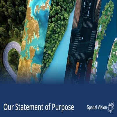 Statement of Purpose - Spatial Vision | PDF