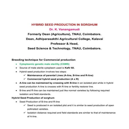 Sorghum hybrid seed production.docx