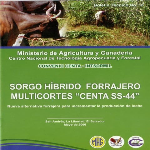 Sorgo centa ss 44 | PDF