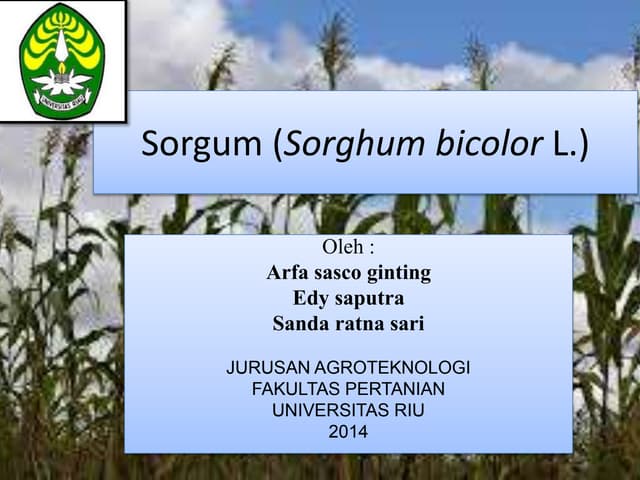 CCR mempunyai kepanjangan dari Central Control Room, Central Control ...