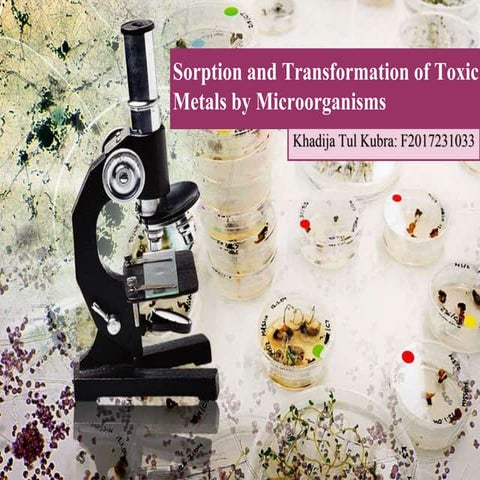 Sorption and transformation of toxic metals by microorganisms | PPT
