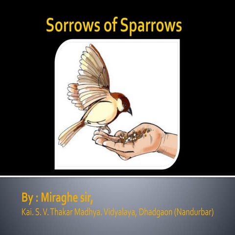 Sorrows of Sparrows, a poem by Halen Steiner Rice | PPTX