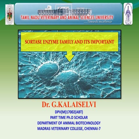 Sortase enzyme family | PPTX