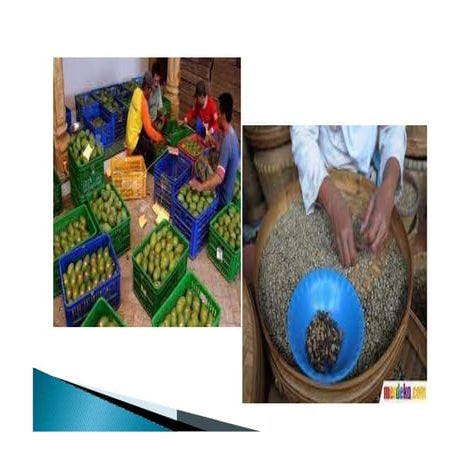 Sortasi, dan Grading.pptx