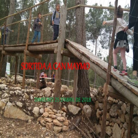 Sortida a can maymo | PPTX