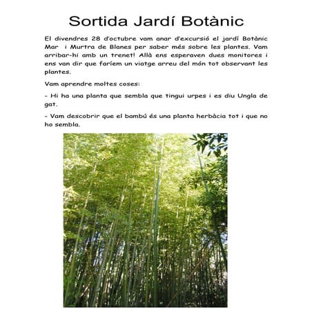 Sortida jardí botànic | PDF