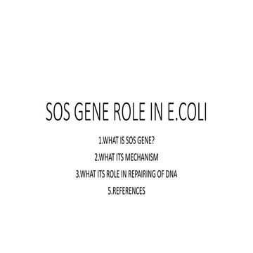 SOS GENE ROLE IN E.COLI