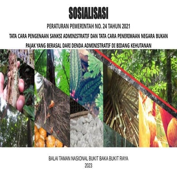 Sosialisasi Muatan PP 24 Tahun 2021.pptx