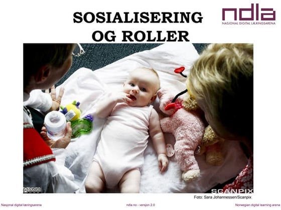 Politiske partier og valg nb | PPT