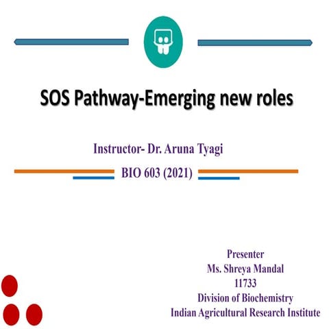 Sos pathway emerging new roles | PPTX