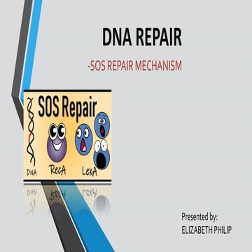 Sos repair | PPTX