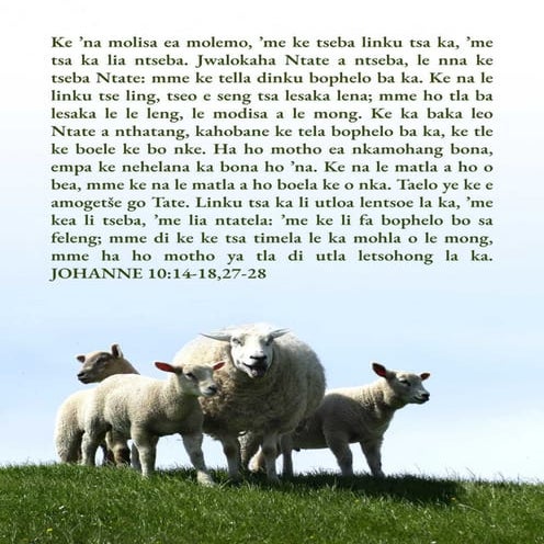 Sotho (Sesotho) - Good Shepherd Gospel Tract.pdf