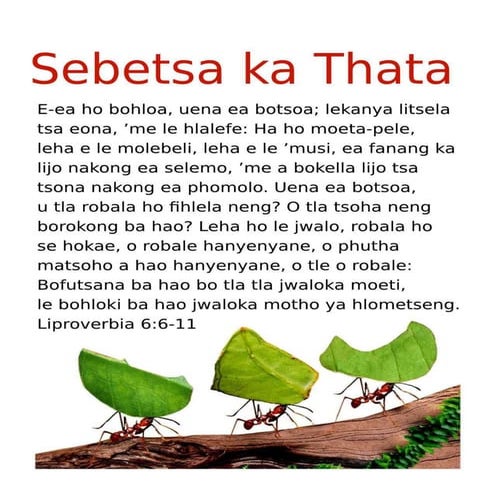 Sotho Sesotho Motivational Diligence Tract.pdf