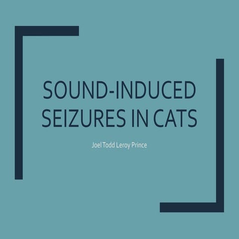 Understanding Cat Bites | PPTX