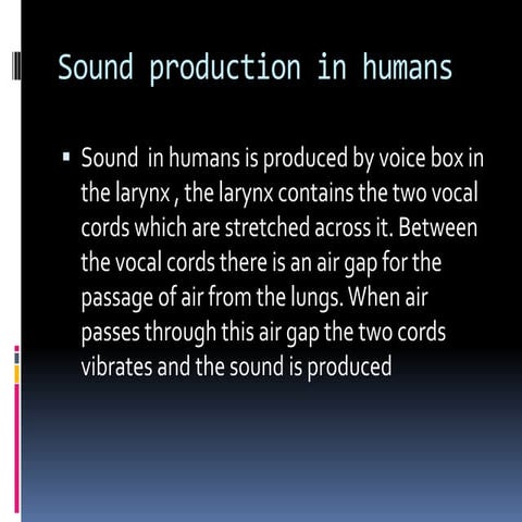 Sound production in humans | PPT