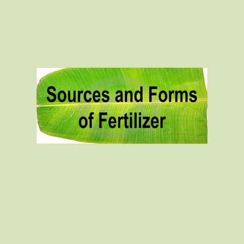 thediffesourcesandformsoffertilizers.ppt