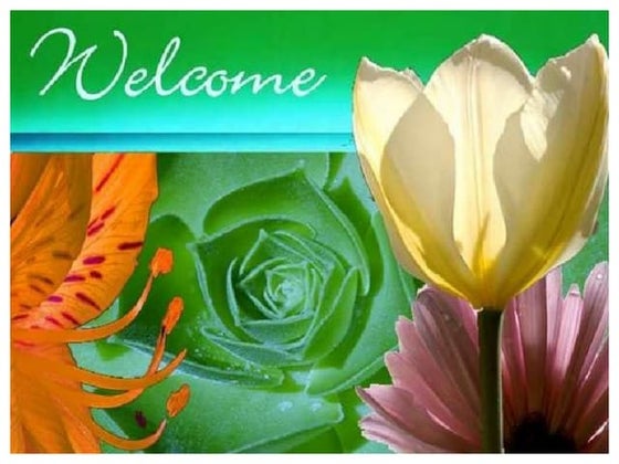 Source and sink relationship pptx.pptx | Gardening | Home & Garden