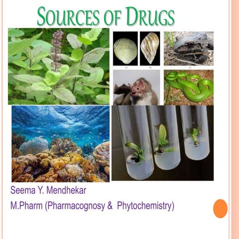 Sources of drugs.pptx
