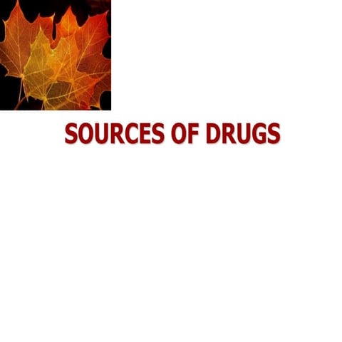 Sources of drugs | PPTX