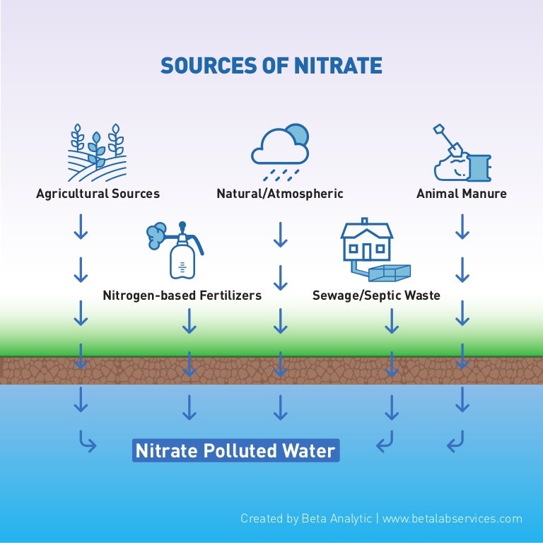Sources of nitrates infographic
